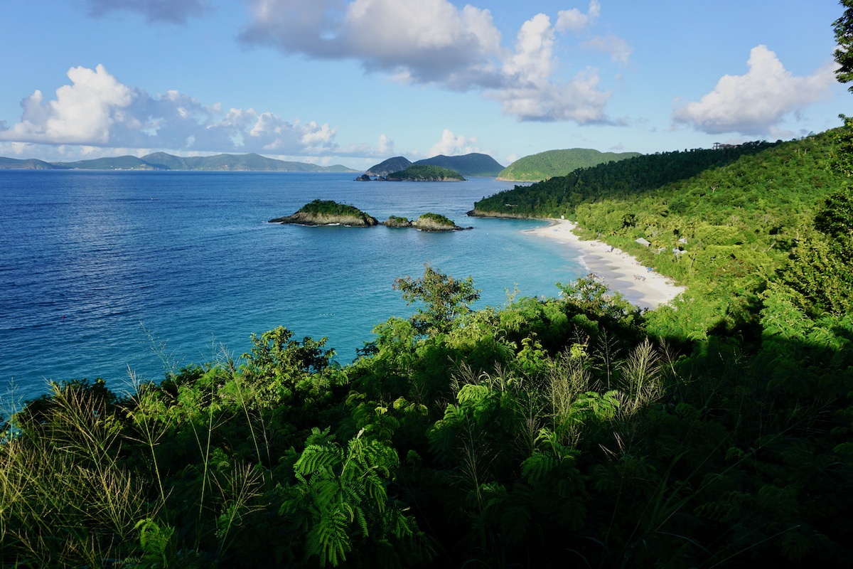 St. John, USVI: So Many Great Beaches and Hikes - Fitz Travel Bits