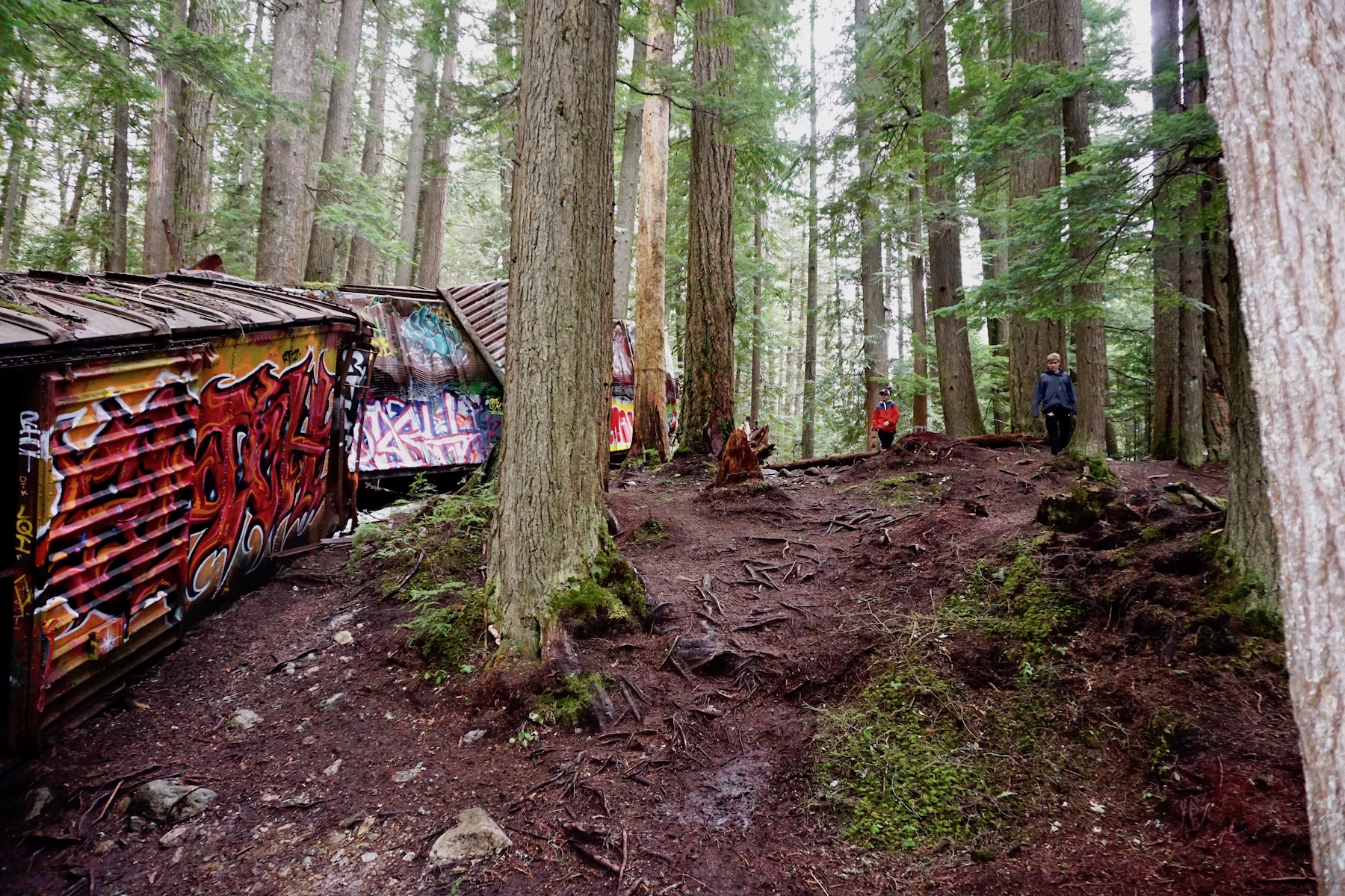 The Very Unique Whistler Train Wreck Trail - Fitz Travel Bits